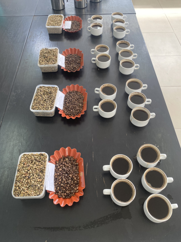 Our Service - Neumann Gruppe Vietnam