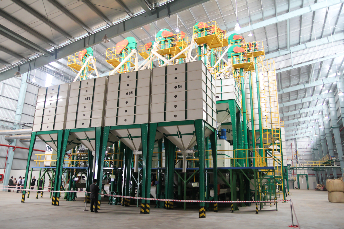 Our Service - Neumann Gruppe Vietnam